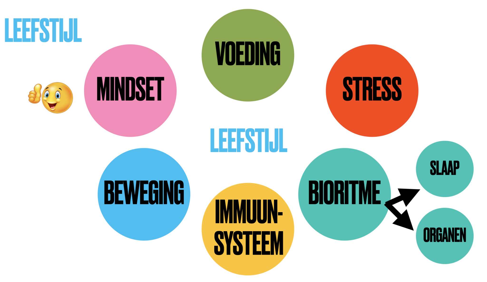 Presentatie gezonde leefstijl - Alotz of lifestyle